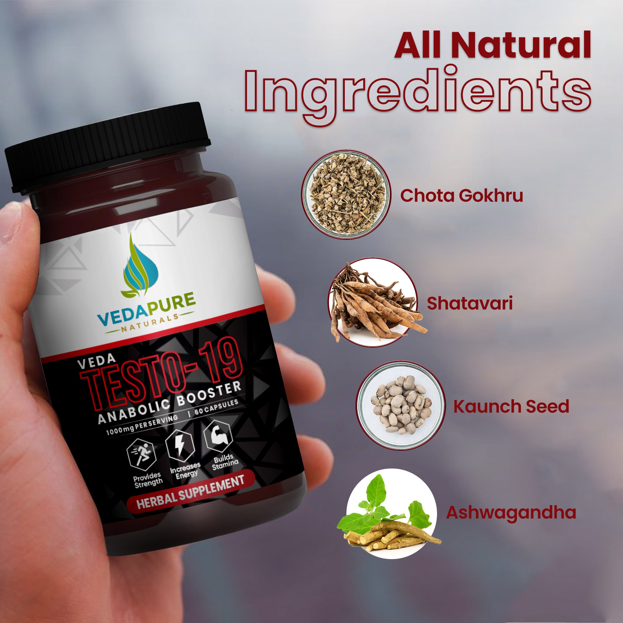 Buy VEDAPURE NATURALS Original Pure Himalayan Shilajit/Shilajeet Resin ...